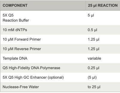 用LIC三天构建一个质粒——第二天麦德辑